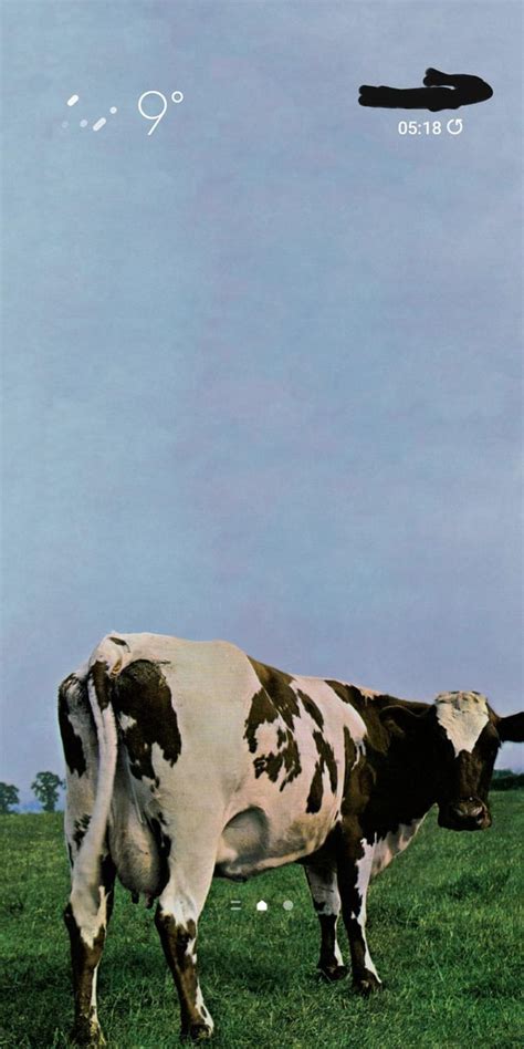 What Can Be Extrapolated From Mine Rdesktopdetective