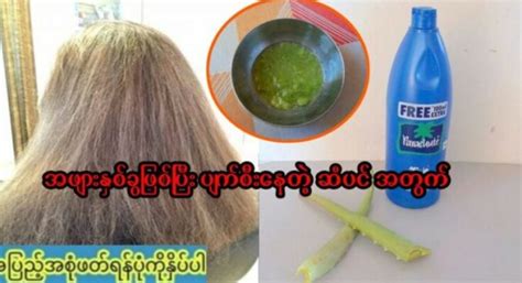 အဖျားနှစ်ခွဖြစ်ပြီး ပျက်စီးနေတဲ့ ဆံပင် အတွက် ရှားစောင်းလက်ပပ် နဲ့ အုန်းဆီကို ရောသုံးနည်း