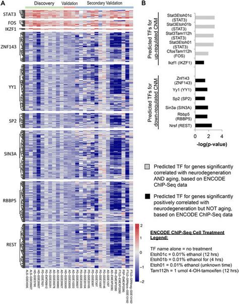 Encode Chip Seq Significance Analysis Identifies Transcription Factors