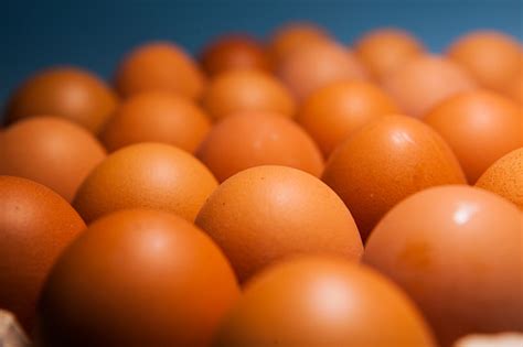 천연 기판에 갈색 닭 계란의 카세트 상단 보기 음식 배경 카세트 상자에 계란 건강한 식생활에 대한 스톡 사진 및 기타 이미지 건강한 식생활 노랑 농업 Istock