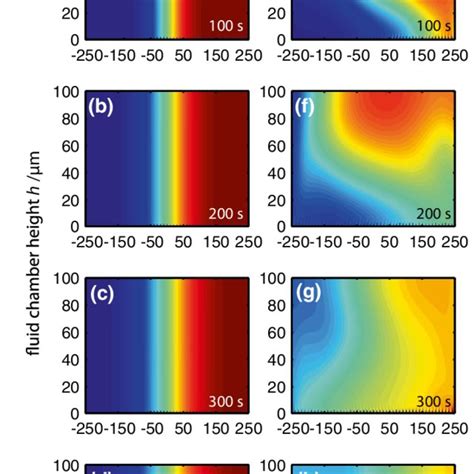 Generic Temporal Progress Of The Spatial Concentration Profile For A D