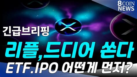 리플 드디어 쏜다 Youtube