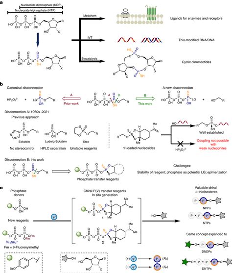 Chiral Phosphorothioate Isosteres Of Nucleoside Di And Download Scientific Diagram