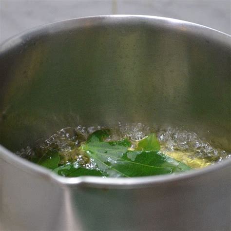 8 Top Medicinal Uses Benefits Of Cassia Alata Akapulko Seemai Agathi