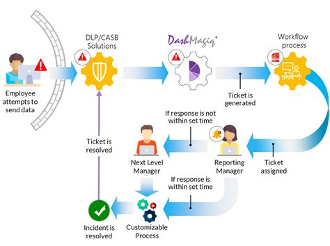 Dashmagiq™ Dlp Workflow