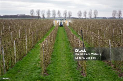 Asperen The Netherlands March 31 2019 Modern Orchard Sprayer Spraying