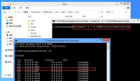 版本管理工具 —— Svn Bojiangzhou 博客园