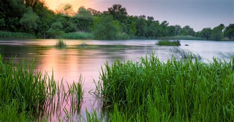 These Florida Teenagers Recorded A Video Of A Man Drowning Instead Of