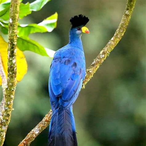 Absolutely Our Rule Is Separate Checks Or Split Evenly