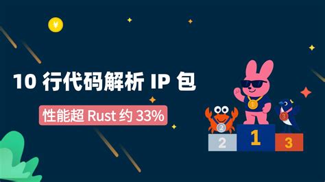 性能超 rust 约 33 ，10 行代码解析 ip 包 moonbit