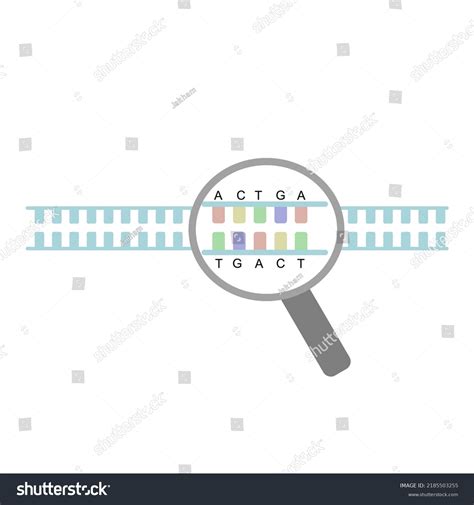 893 Base Sequence Icons 图片、库存照片和矢量图 Shutterstock