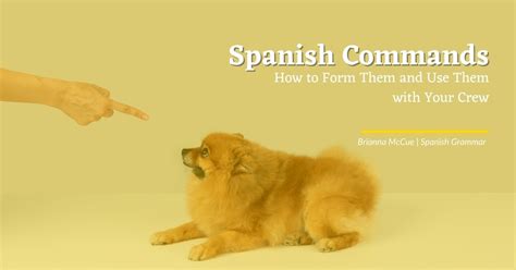 Spanish Commands How To Form And Use Them With Your Crew