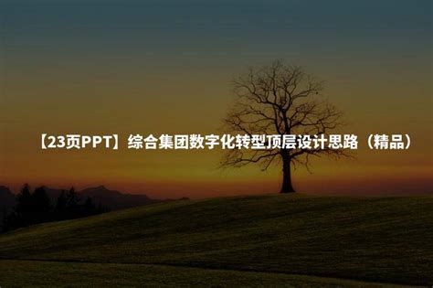 【23页ppt】综合集团数字化转型顶层设计思路（精品） Axurehub产品原型资源站