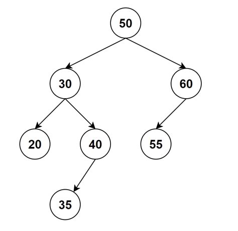 【資料結構】樹tree概述