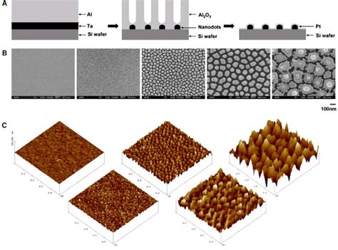 Fabrication Of Tantalum Based Nanodot Arrays Using Aao Processing A