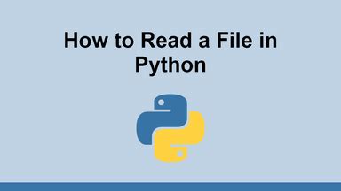 Learn Python Sabe Io