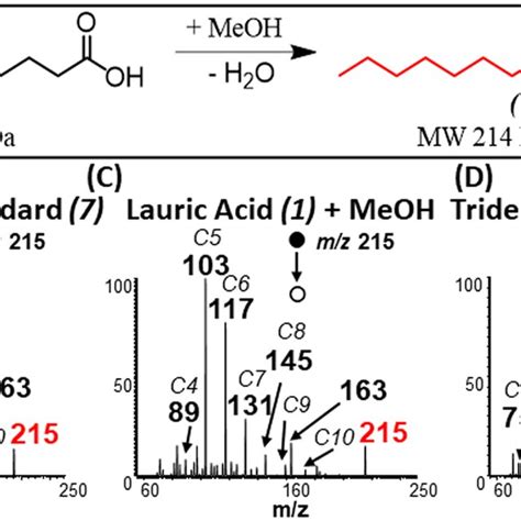 A Schematic Illustrating Esterification Reaction Between Lauric Acid Download Scientific