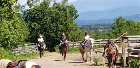 Pigeon Forges Best Horseback Riding Spots 2026 Guide
