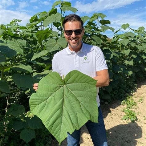 One Pager Green Treee