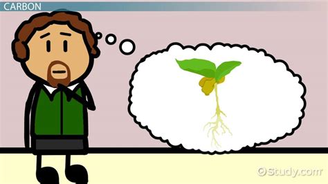 Six Elements Of Life Chnops Definition And Roles Lesson