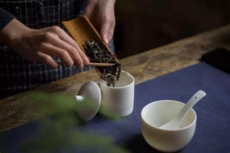 茶葉審評套組喝茶人不可缺少的專業審評利器 每日頭條