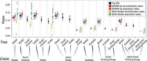 Comparison Between Tip Dr And Clade Level Diversification Download