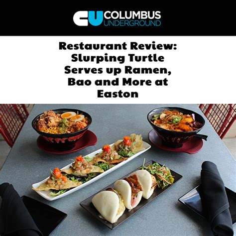 slurping turtle—columbus