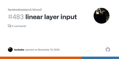 Linear Layer Input Issue 483 Facebookresearch Dinov2 GitHub