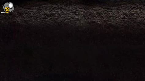 فیلم سینماییتلفن آقای هریگانmr Harrigans Phone 2022با زیرنویس