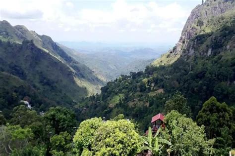 ශ‍්‍රී ලංකාව වනාන්තර 30 ක් ඇති ලොව මුල් රටවල් තුන අතරට