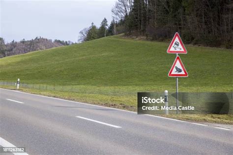 도로 교통 표지판을 건너는 개구리 주의 교통 표지판 미끄러짐 위험 빨간색과 흰색 삼각형 큰 숲 앞 아스팔트 도로 사람 없음 흐린 하늘 0명에 대한 스톡 사진 및 기타 이미지