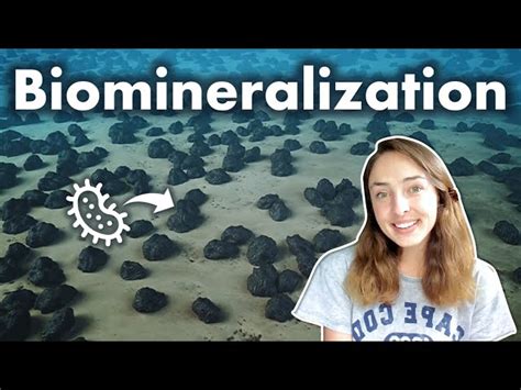 Free Video Biomineralization Fe Hydroxide Magnetite Mn Oxides