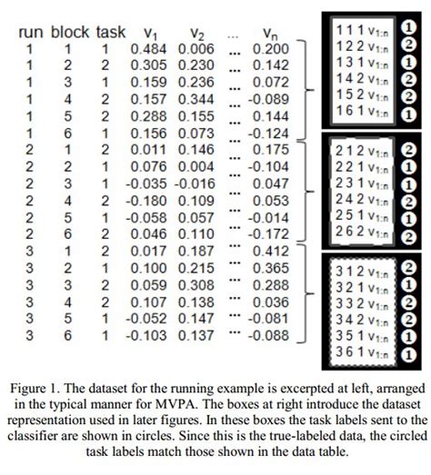 mvpa meanderings mvpa permutation schemes permutation testing in the