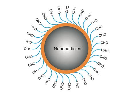 Nanoparticle Surface Functionalization Aldehyde Modification Cho Cd Bioparticles