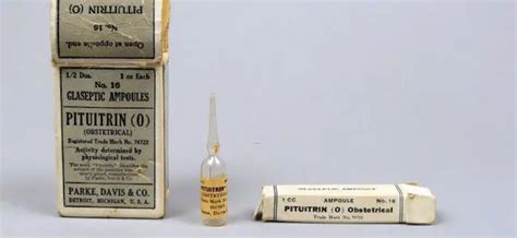 Subinvolution Of The Uterus In Cows Treatment And Prevention Healthy Food Near Me