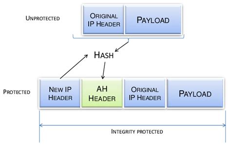 IPsec Encapsulation Protocol Athentication Header Download Scientific Diagram