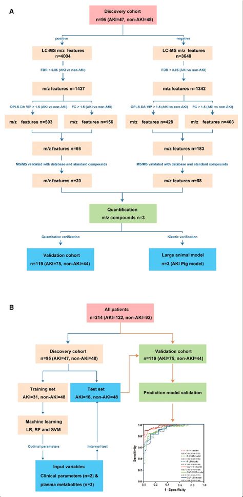 Schematic Workflow Of The Present Study A Biomarker Identification Download Scientific