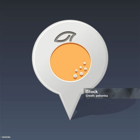 Ilustración De Naranja Icono De Mapa De Pin Frutas Ilustración De