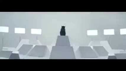 Spikey Dee Full Discover