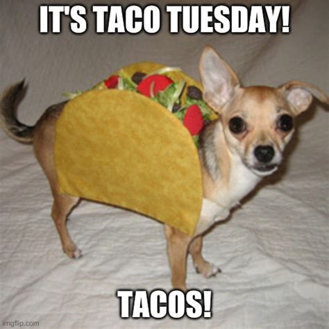 Taco Tuesday Meme