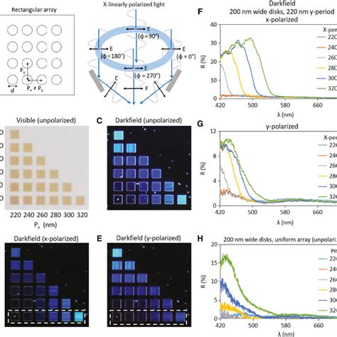 Polarization Dependent Colors From Rectangular Arrays Of Single Al