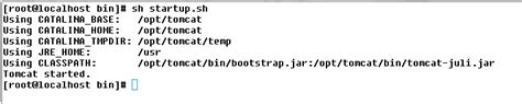 Complete Guide For Apache TOMCAT Installation On Linux LinuxTechLab