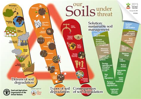 Soil Infographics Global Soil Partnership Food And Agriculture Organization Of The United