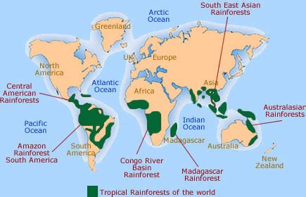 Global Tropical Rainforest Locations Map Save The Tropical Rainforests