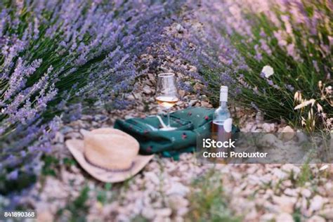 프로방스 남쪽 프랑스 라벤더 필드 야외에서 피크닉 로즈 와인 한 잔 와인의 병 및 여행 가방 분홍 포도주에 대한 스톡 사진 및 기타 이미지 Istock