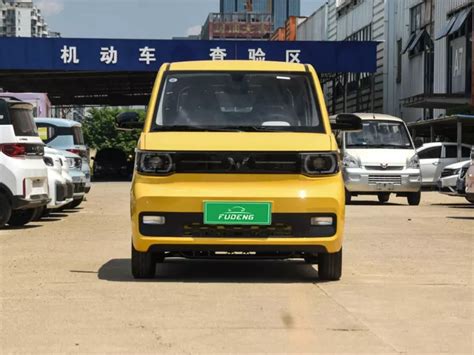 Wuling Mini Ev Macaron Perfect Edition Lithium Iron Phosphate