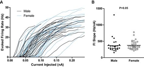 No Evidence For Sex Differences In The Electrophysiological Properties And Excitatory Synaptic