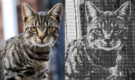 A Simple Image To Ascii Api Rsideproject