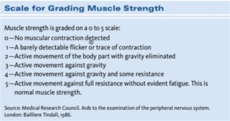Neuro Physical Exam Terms And Definitions Patient Assessment Ii