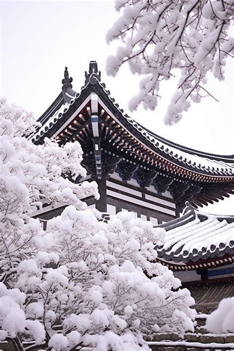 A Tree Covered In Snow Background Wallpaper Image For Free Download Pngtree